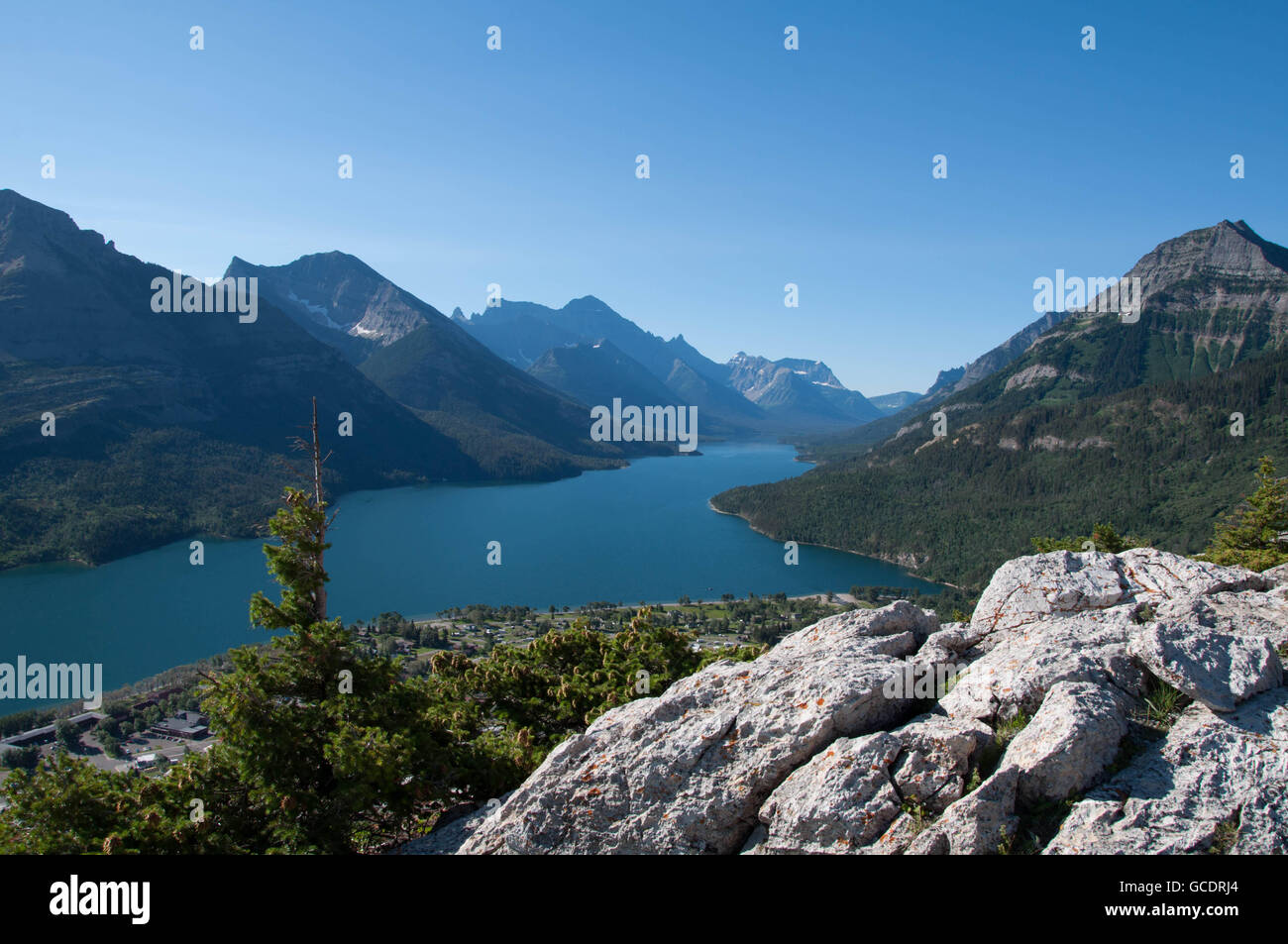 Ours bosse Banque de photographies et d’images à haute résolution - Alamy