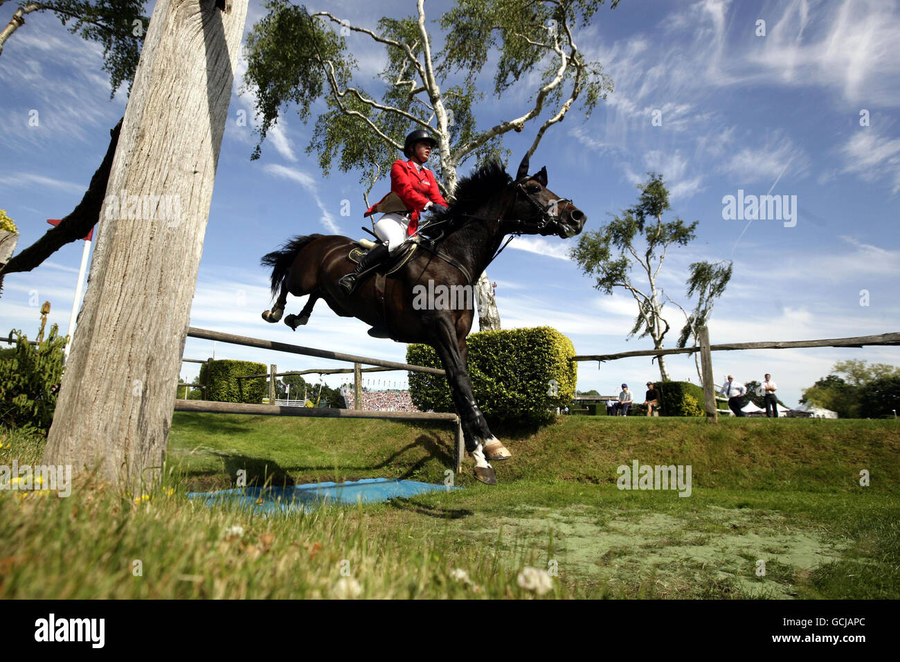 Action de saut de cheval Banque de photographies et d’images à haute ...