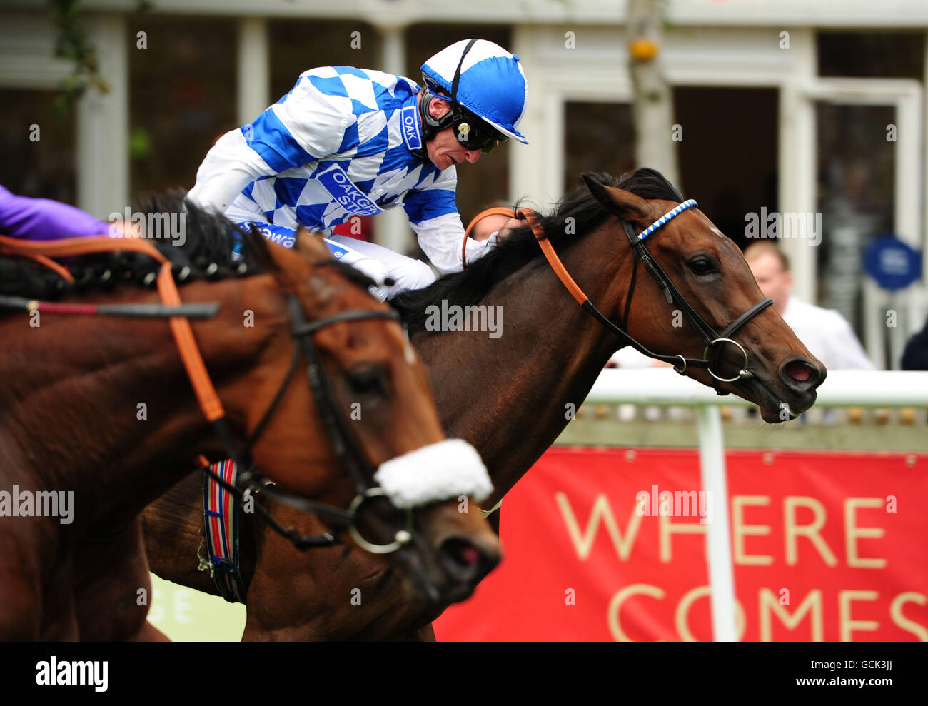 Gagner des courses piquets de champagne Banque de photographies et d ...