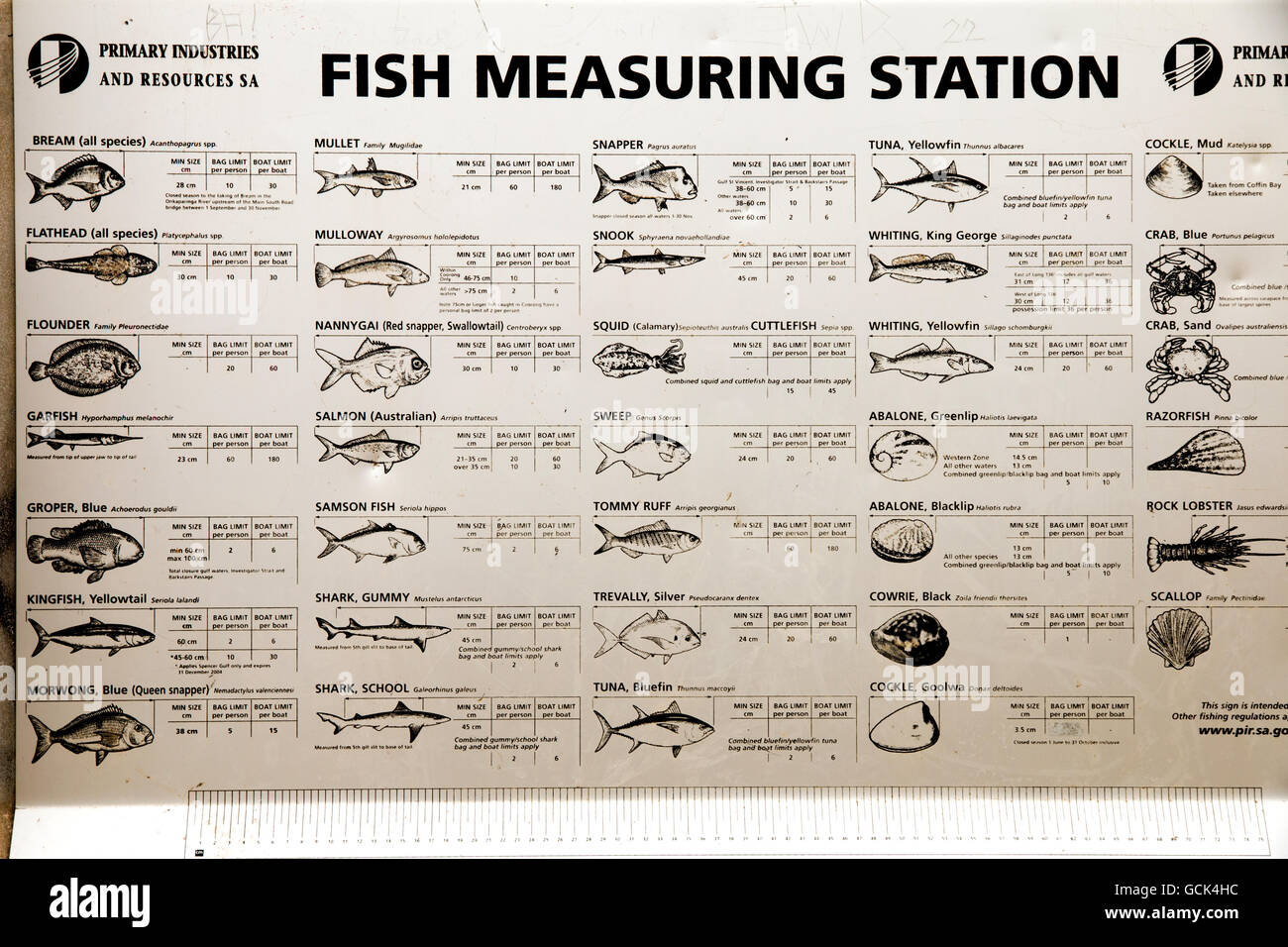 Station de mesure du poisson Banque de photographies et d’images à ...