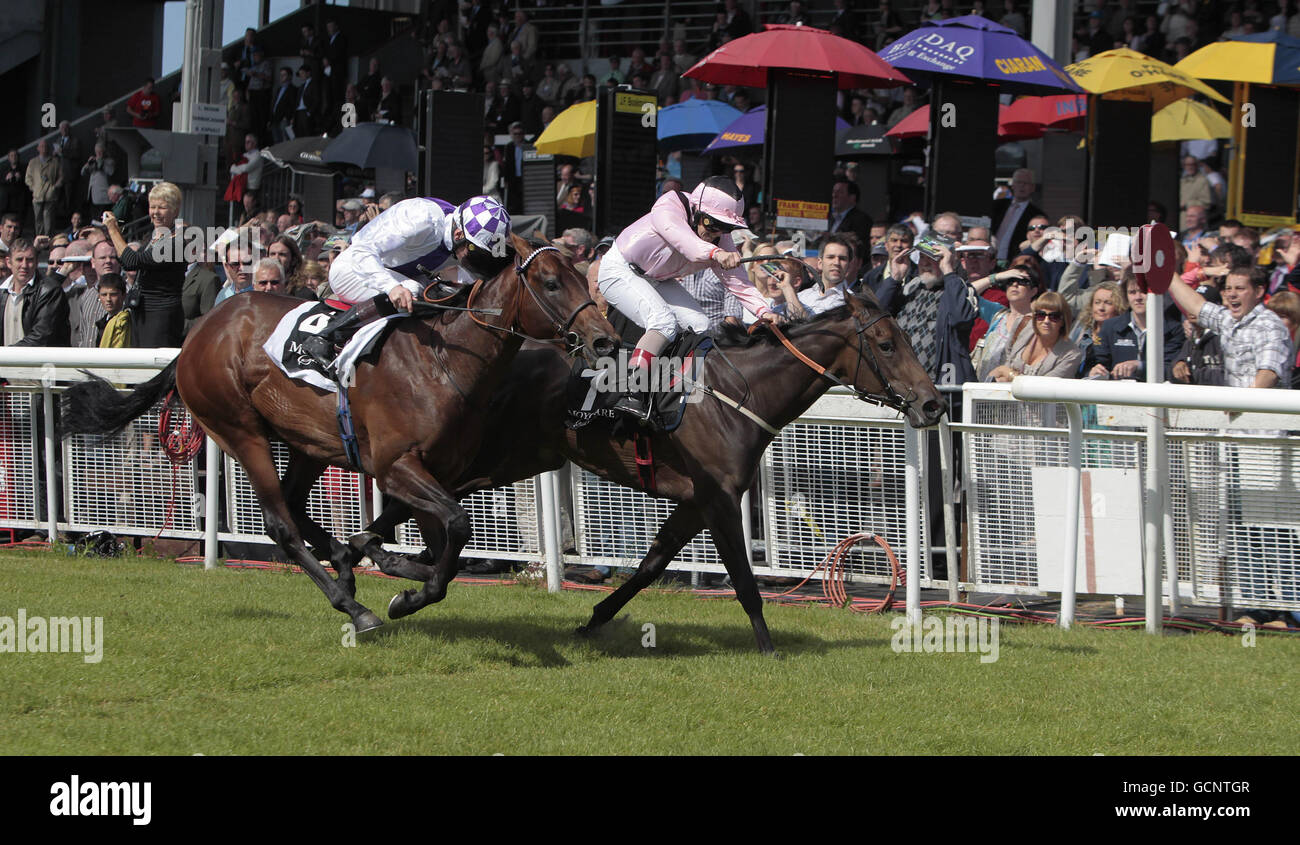Dingle View, criblé de Cathy Gannon, remporte les tours rondes à l ...