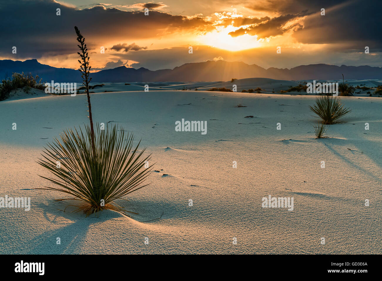Desert couchée de soleil Banque de photographies et d’images à haute ...