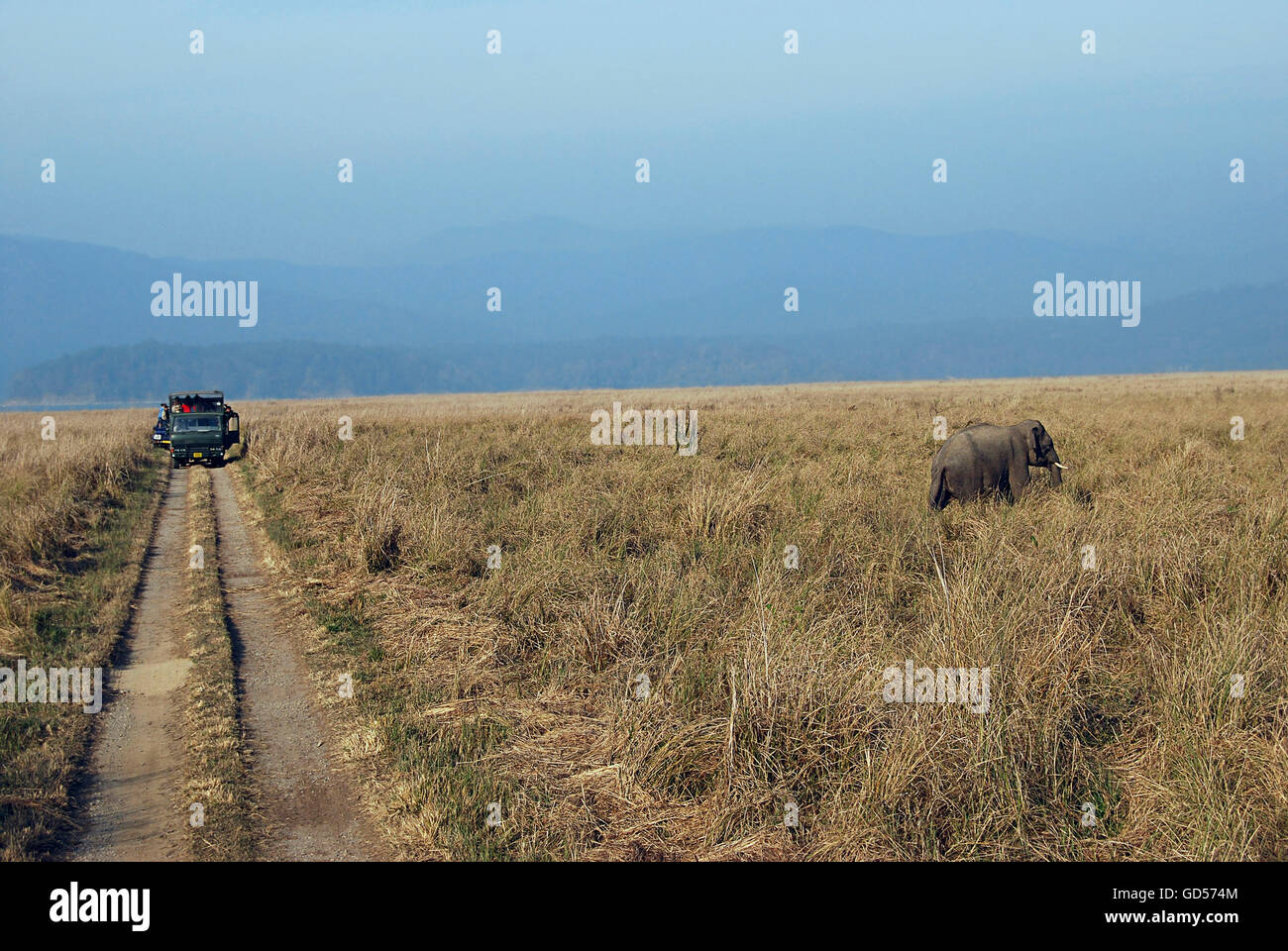 Jim corbett Banque de photographies et d’images à haute résolution - Alamy
