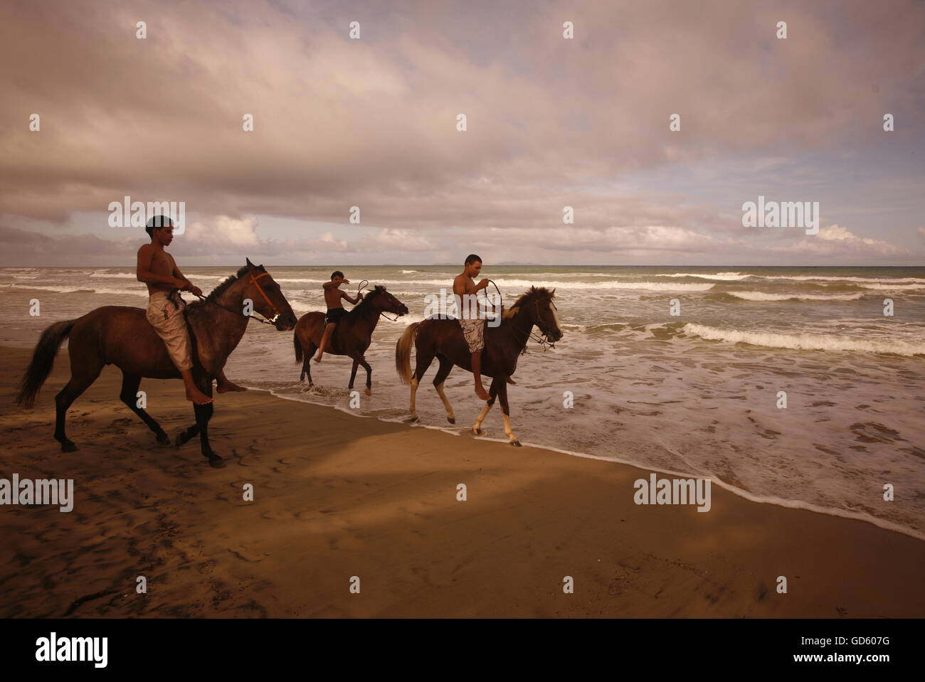 La côte de cheval à la plage dans la ville de Cuacuco sur l'Isla ...