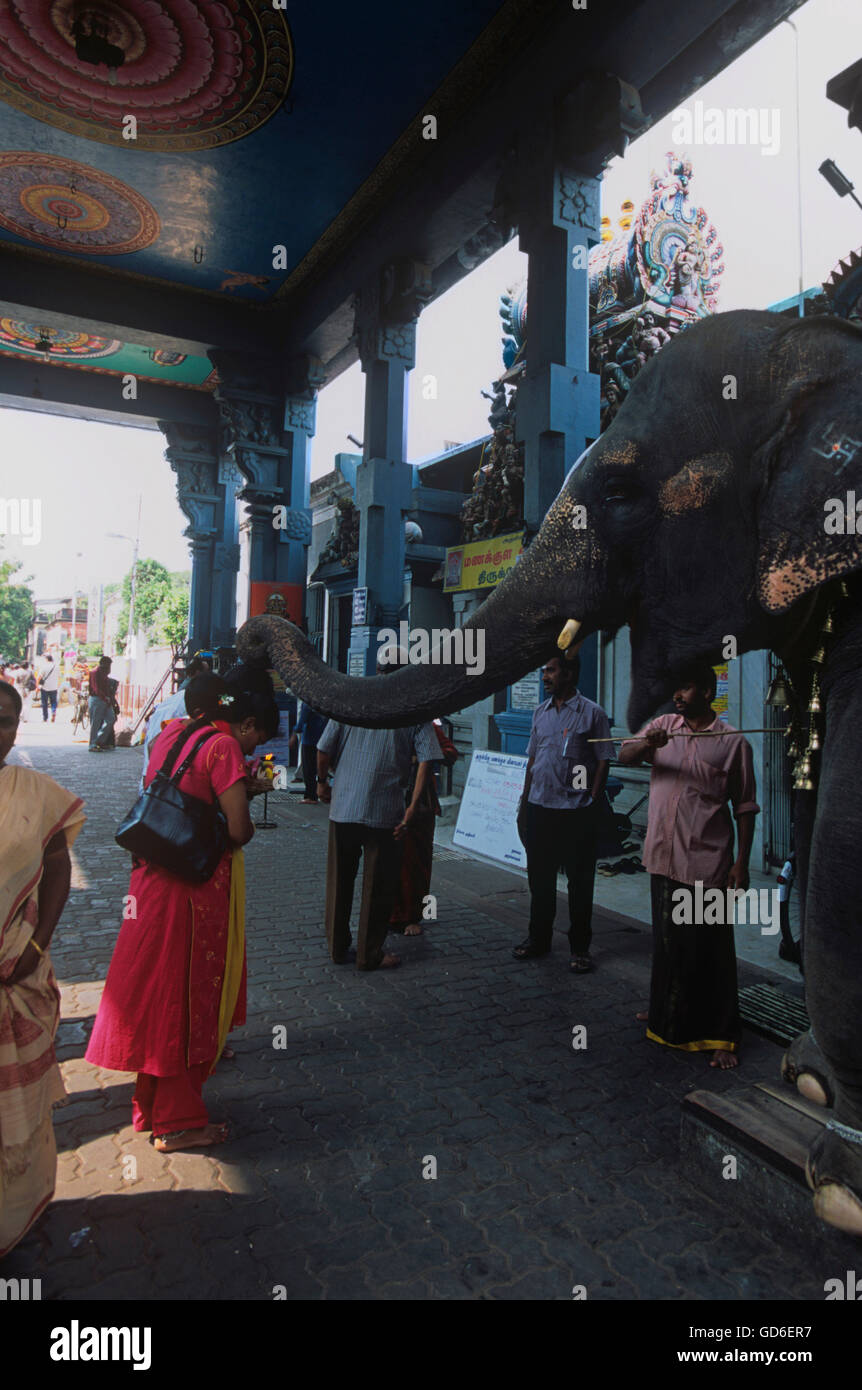 Manakula vinayagar temple hindu temple Banque de photographies et d ...