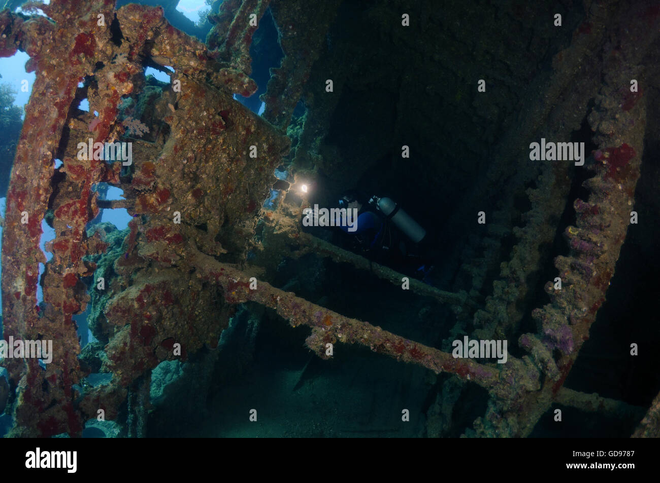 Le navire carnatic wreck red mer egypte Banque de photographies et d ...