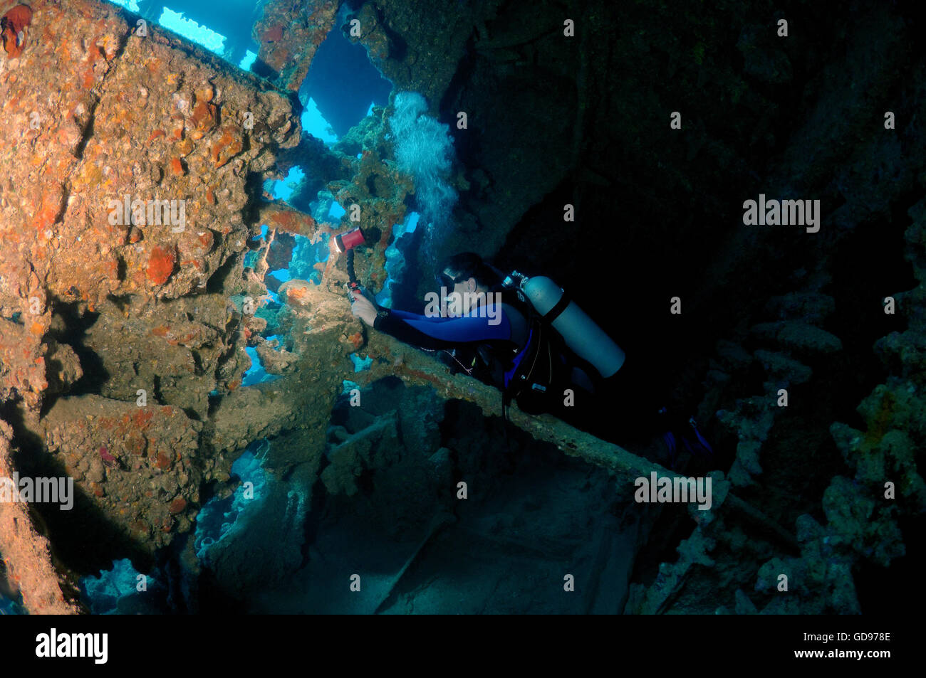 Le navire carnatic wreck red mer egypte Banque de photographies et d ...