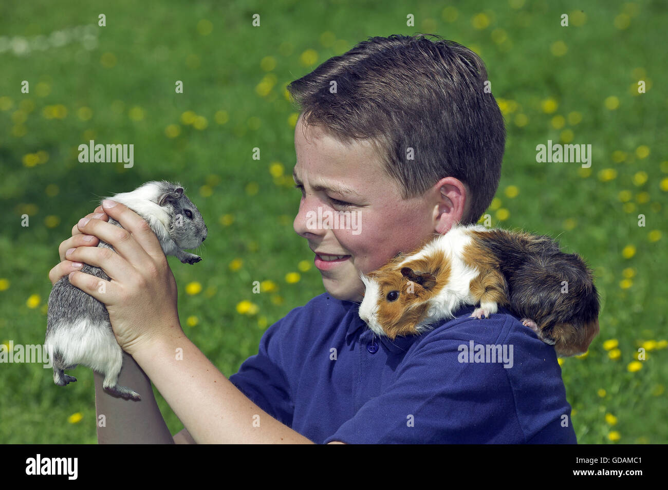 Cobaye humain Banque de photographies et d’images à haute résolution ...