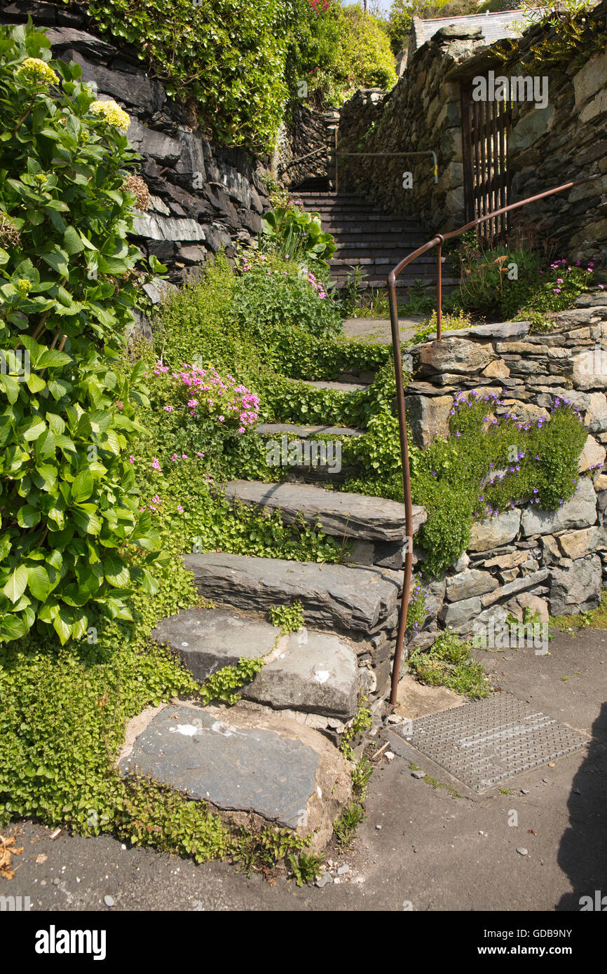 Fleur qui pousse sur le rocher Banque de photographies et d’images à ...