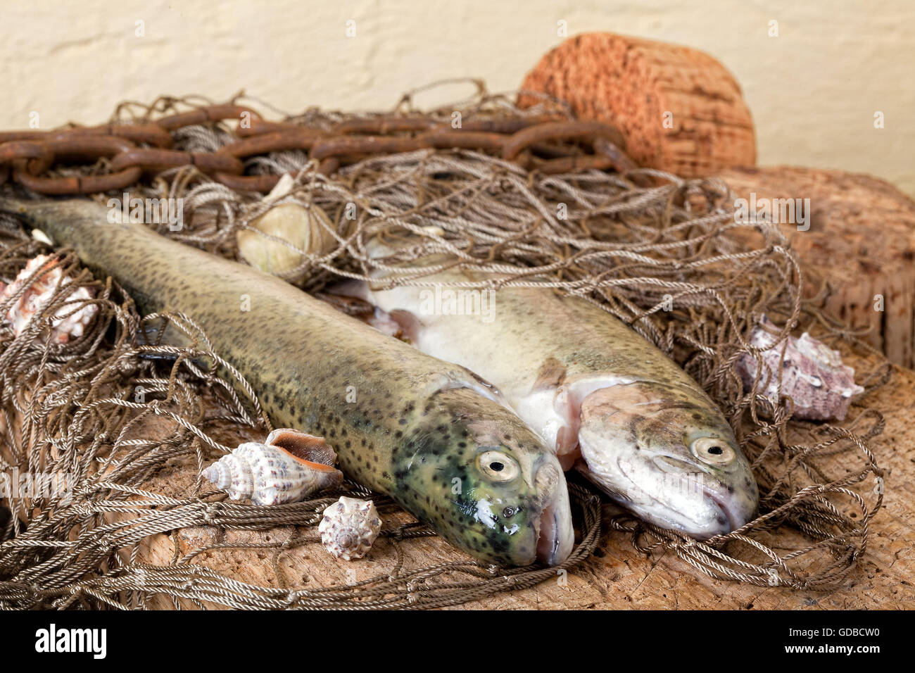 Attraper du poisson avec un filet Banque de photographies et d’images à ...