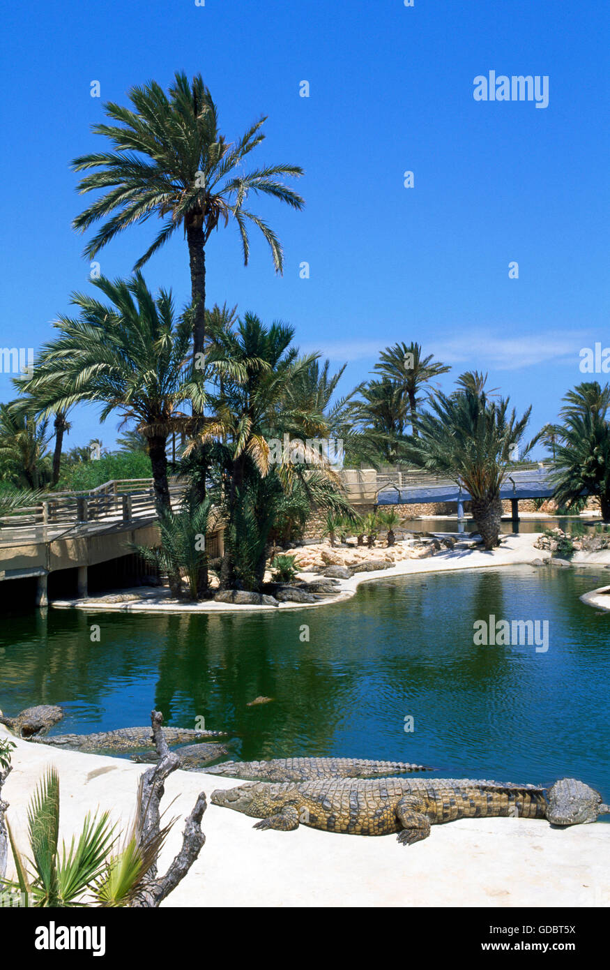 Explora Parc, l'île de Djerba, Tunisie Photo Stock - Alamy