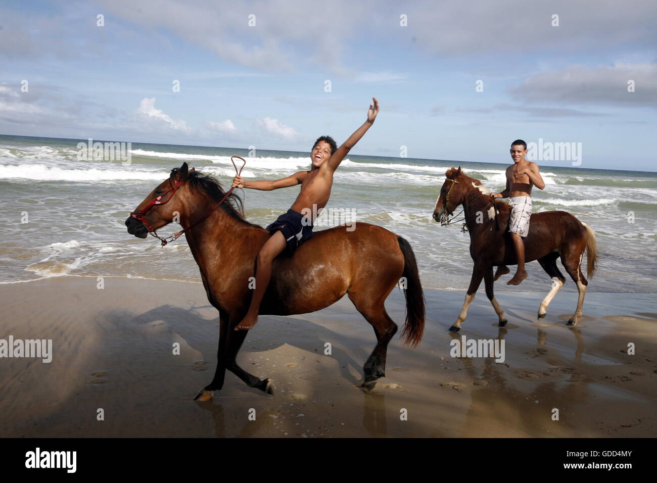 La côte de cheval à la plage dans la ville de Cuacuco sur l'Isla ...