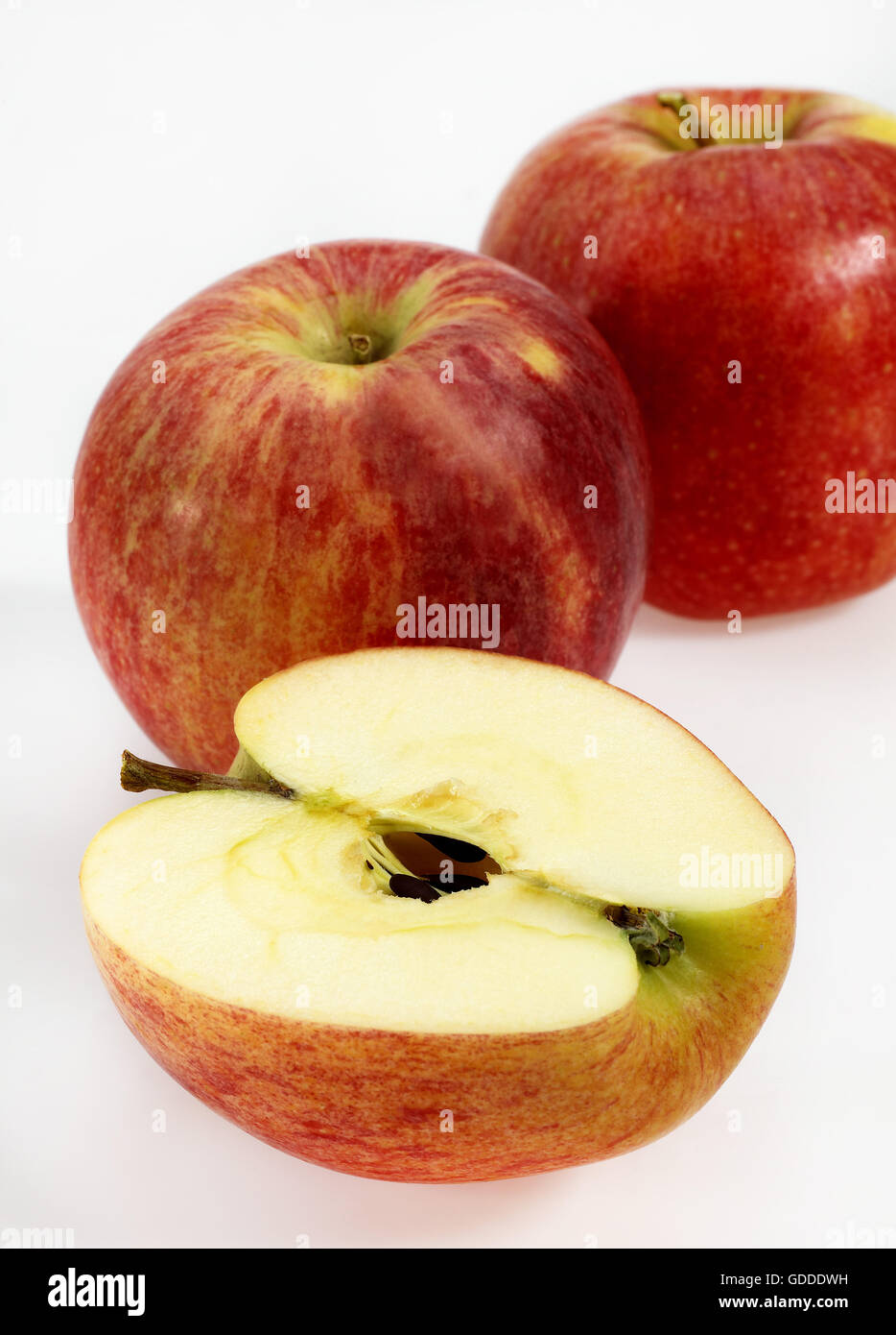 Pomme de gala royale Banque de photographies et d’images à haute ...