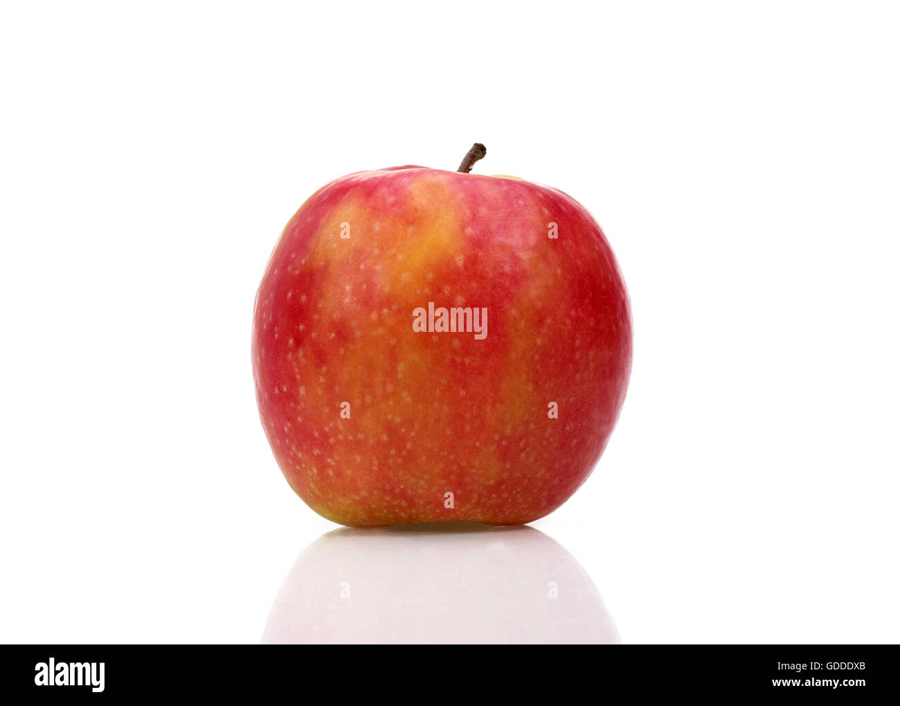 Pink lady apple Banque de photographies et d’images à haute résolution ...