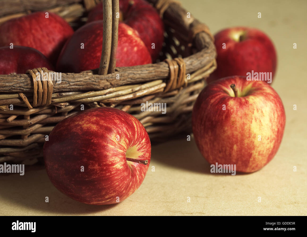 Pomme de gala royale Banque de photographies et d’images à haute ...