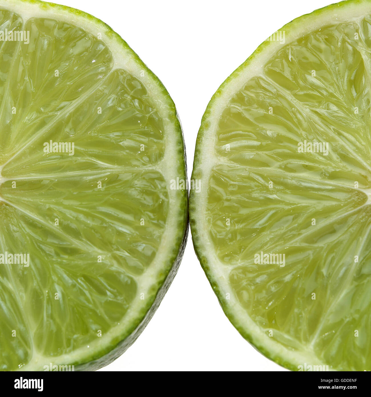 Citrus x aurantiifolia Banque de photographies et d’images à haute ...