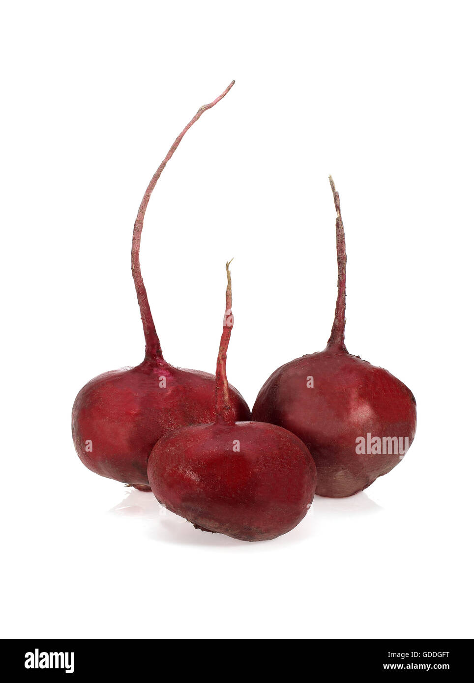 Beta rubra vulgaris Banque de photographies et d’images à haute ...
