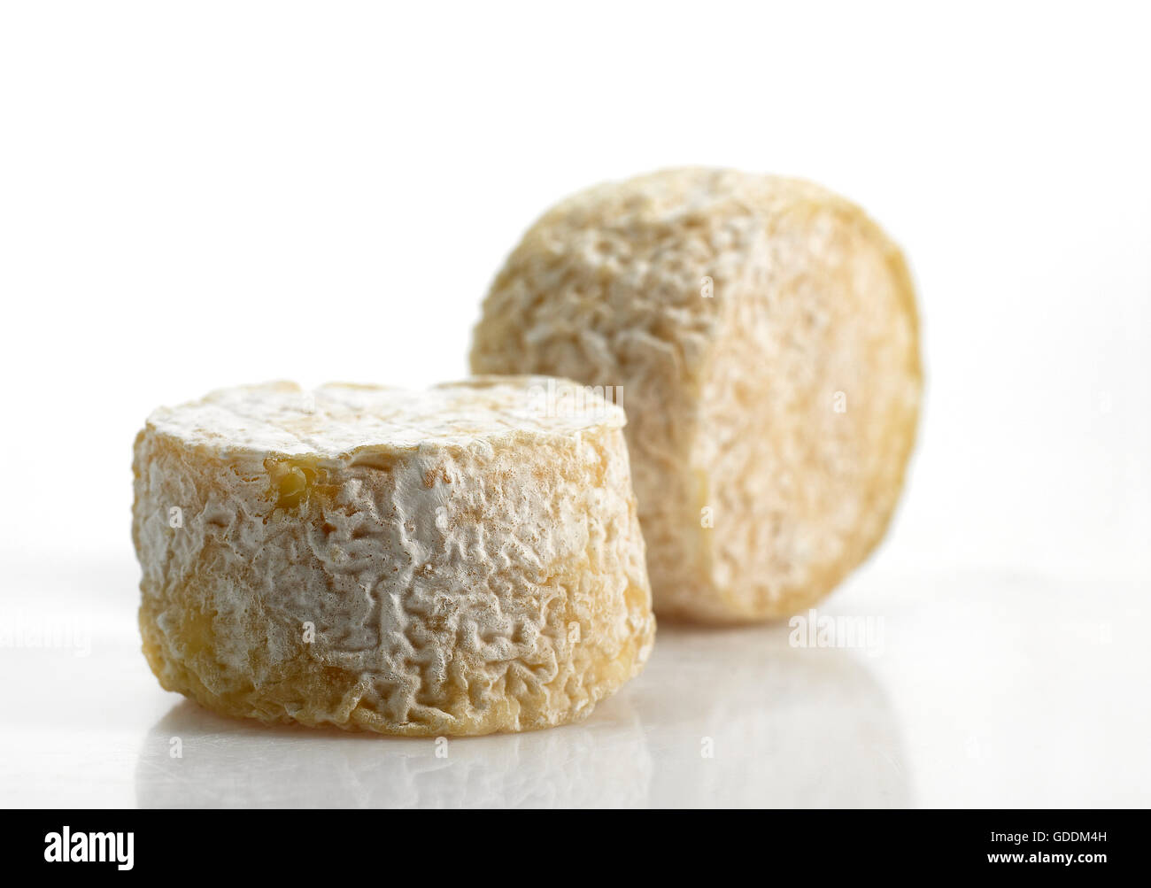 Fromage Français appelé le crottin de chèvre, un fromage de chèvre ...