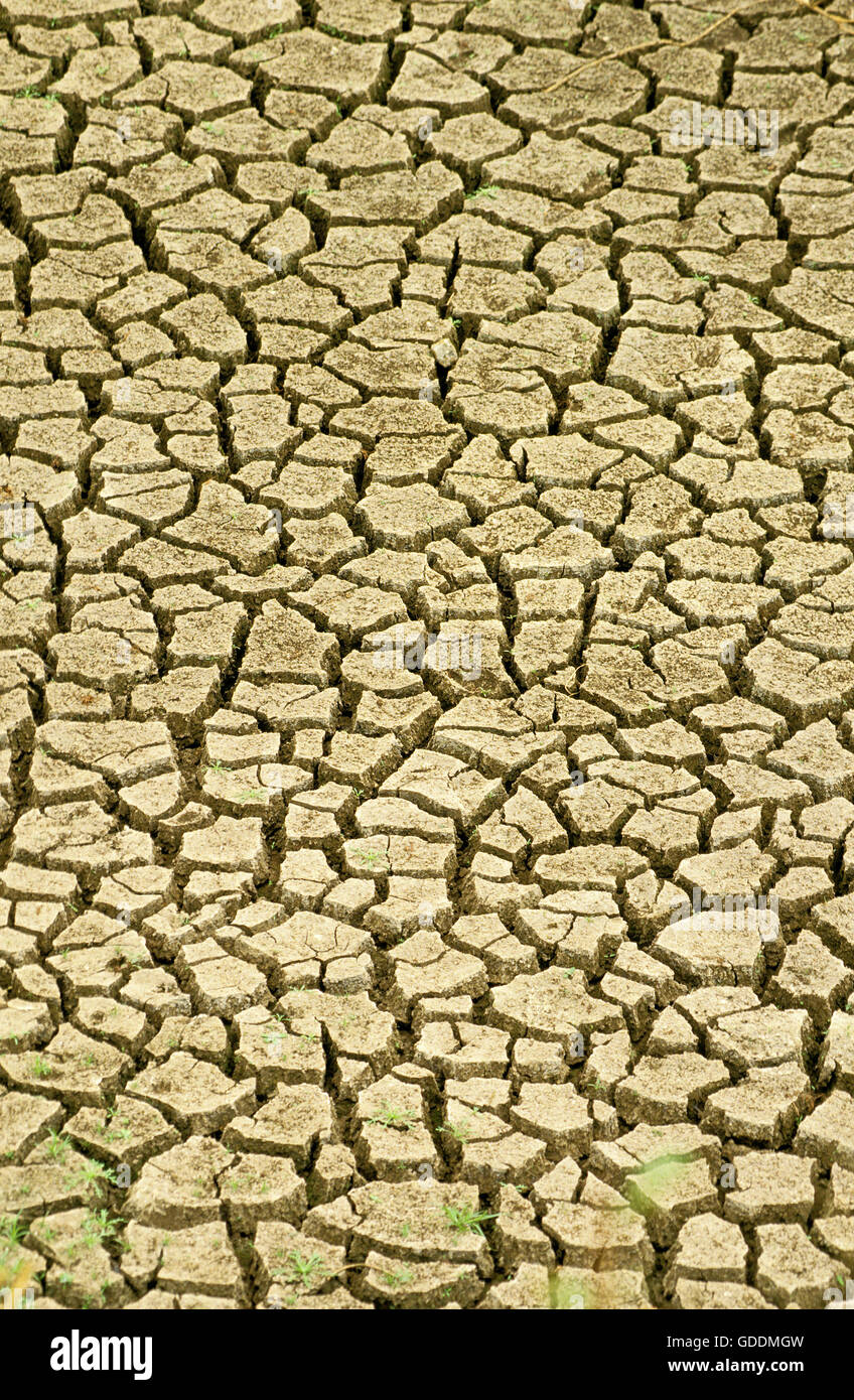 Sécheresse du sol Banque de photographies et d’images à haute ...