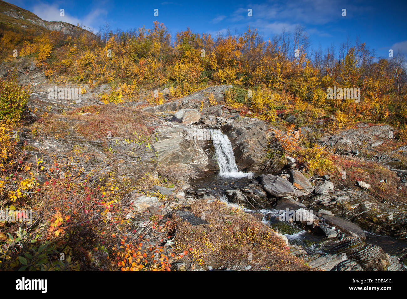 Abisko national park Banque de photographies et d’images à haute ...