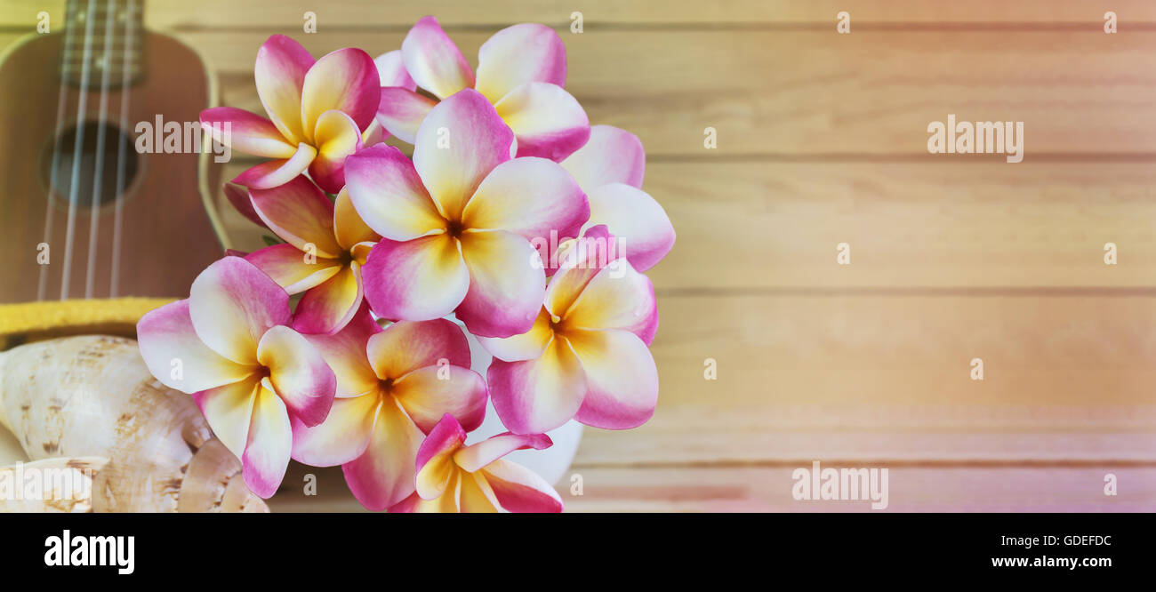Rose jaune et blanc bouquet de fleurs de frangipanier plumeria ou dans un vase, à l'ukulele ...