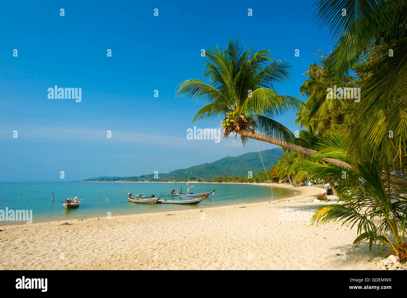 Ko samui island Banque de photographies et d’images à haute résolution ...