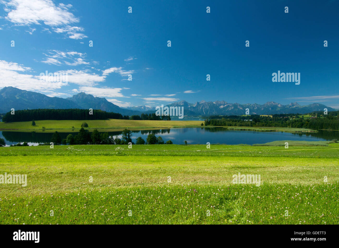 Lac forggensee allgaeu bavière Banque de photographies et d’images à ...