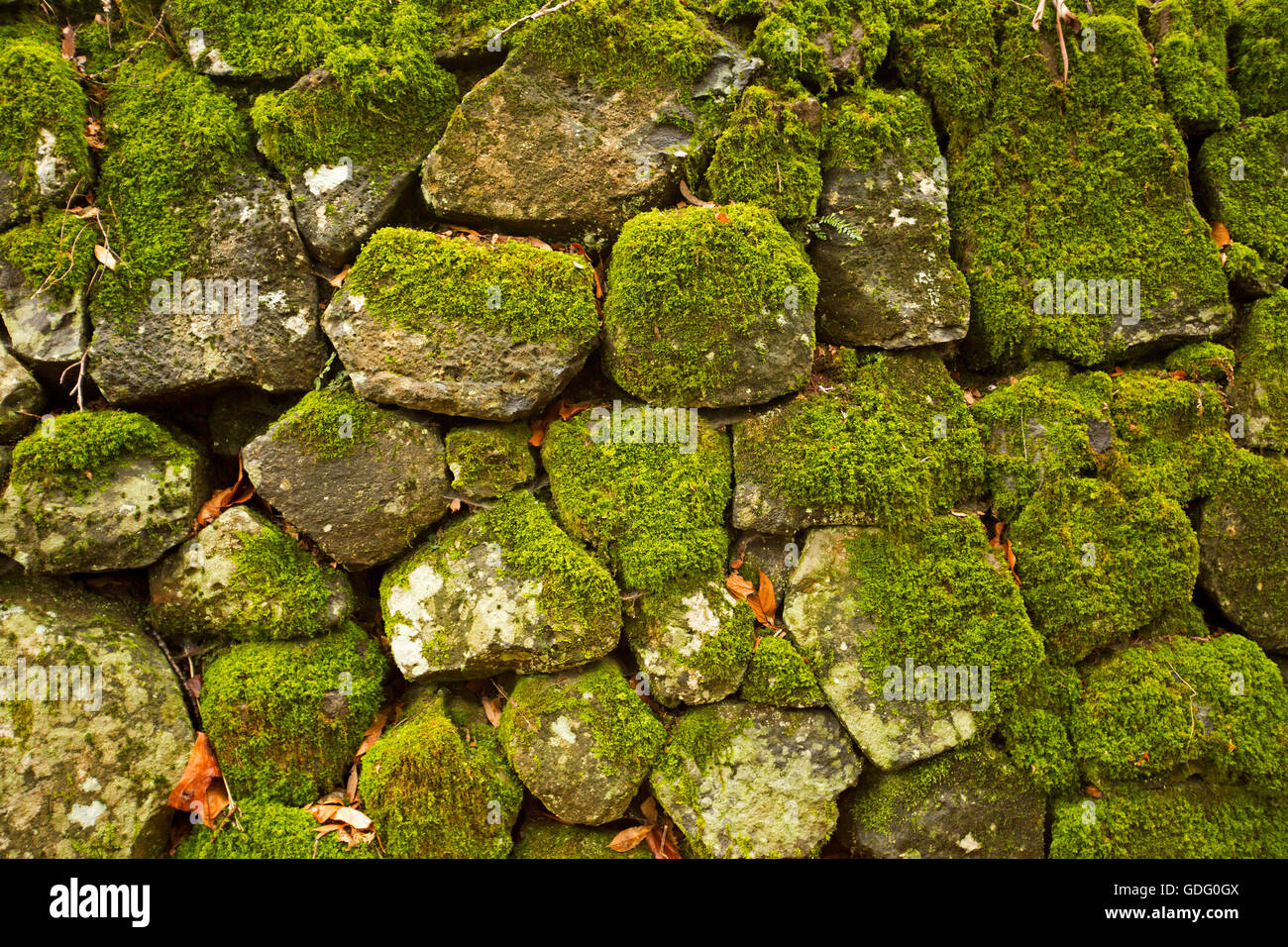 Mur de soutènement en pierre Banque de photographies et d’images à ...