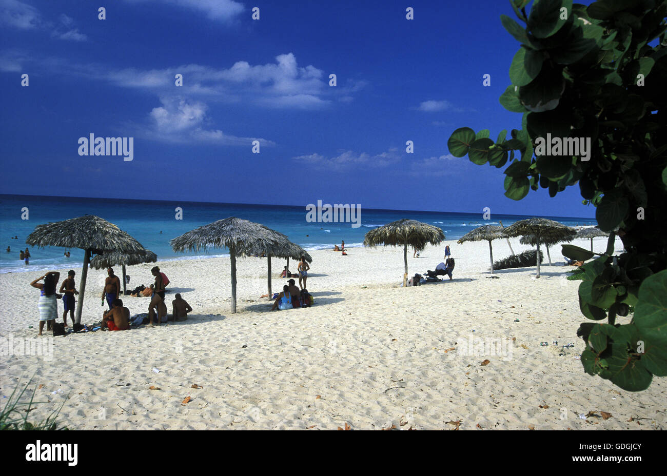 Une plage sur la côte de Varadero à Cuba dans la mer des Caraïbes Photo ...
