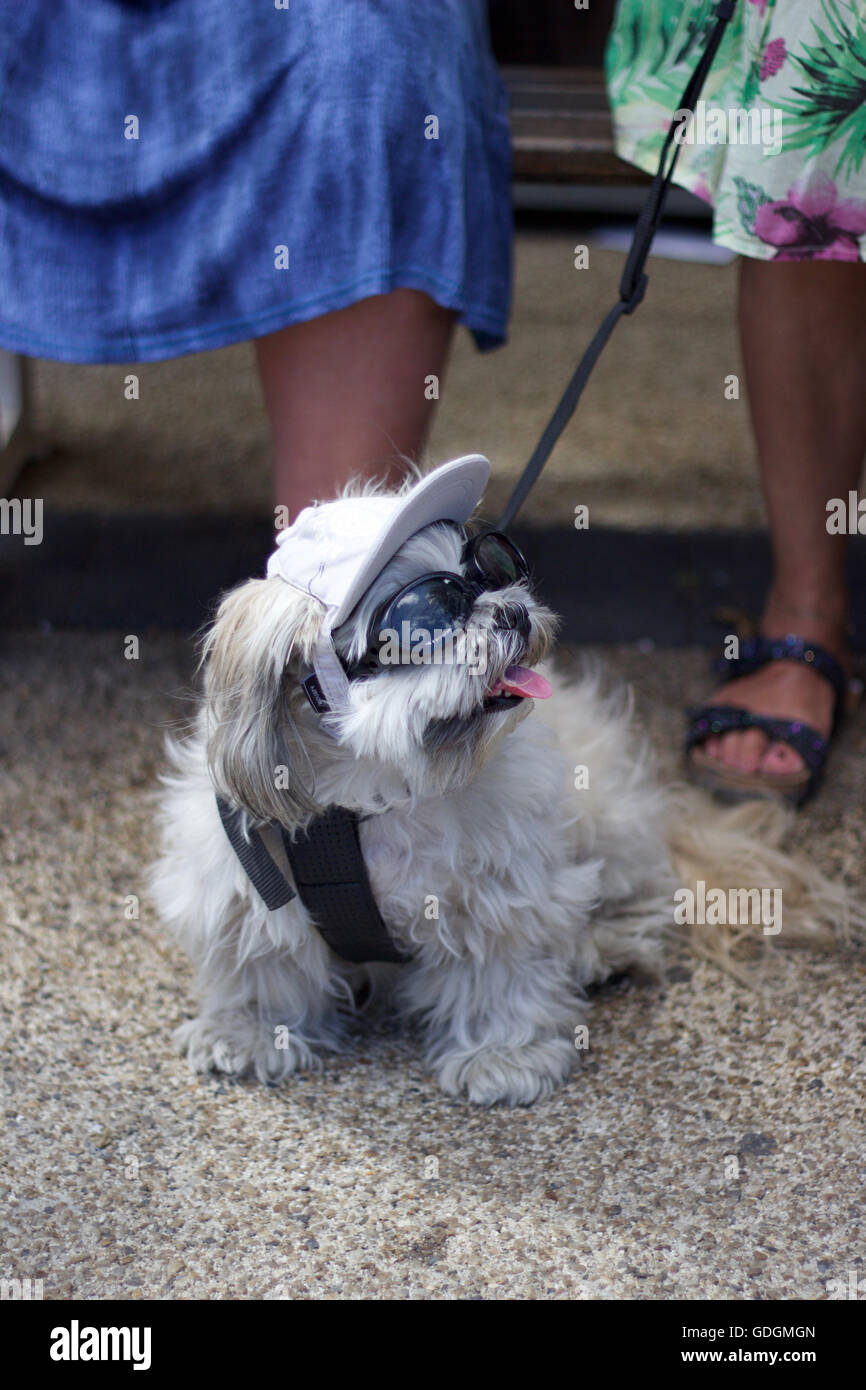 Cool pose Banque de photographies et d’images à haute résolution - Alamy