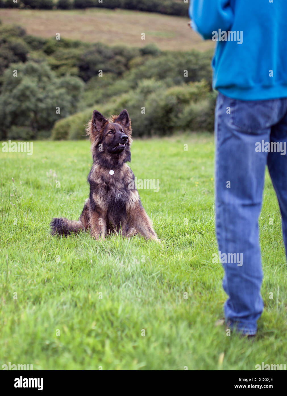 Formation verticale Banque de photographies et d’images à haute ...