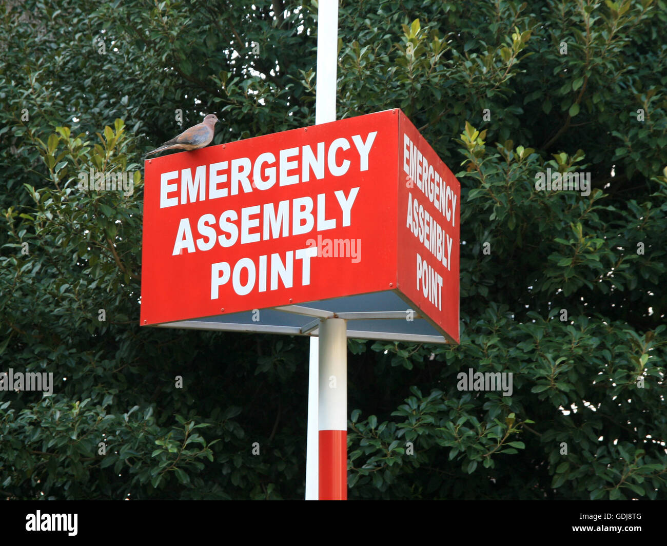 Signe De Point De Rassemblement D'urgence Banque d'image et photos - Alamy
