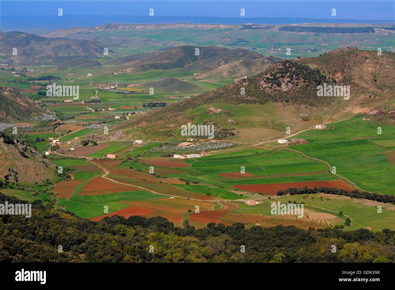 Ito volcanic landscape near azrou Banque de photographies et d’images à ...