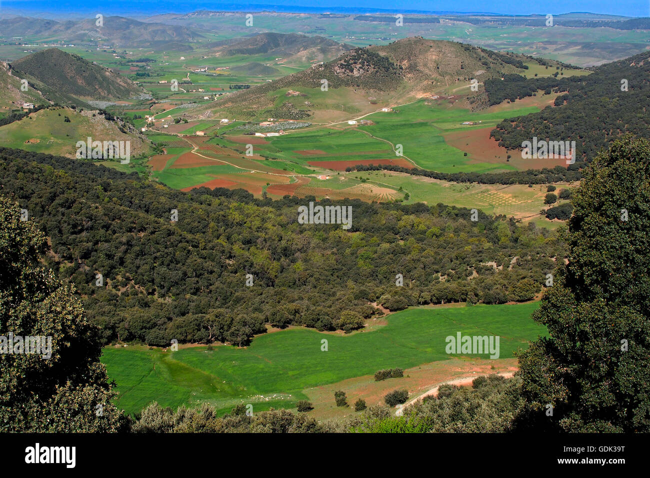 Ito volcanic landscape near azrou Banque de photographies et d’images à ...