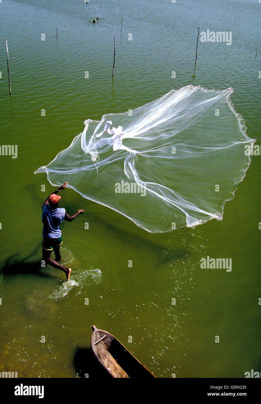 Un pêcheur jette son filet dans la lagune de Cotonou. Le Bénin, Afrique ...