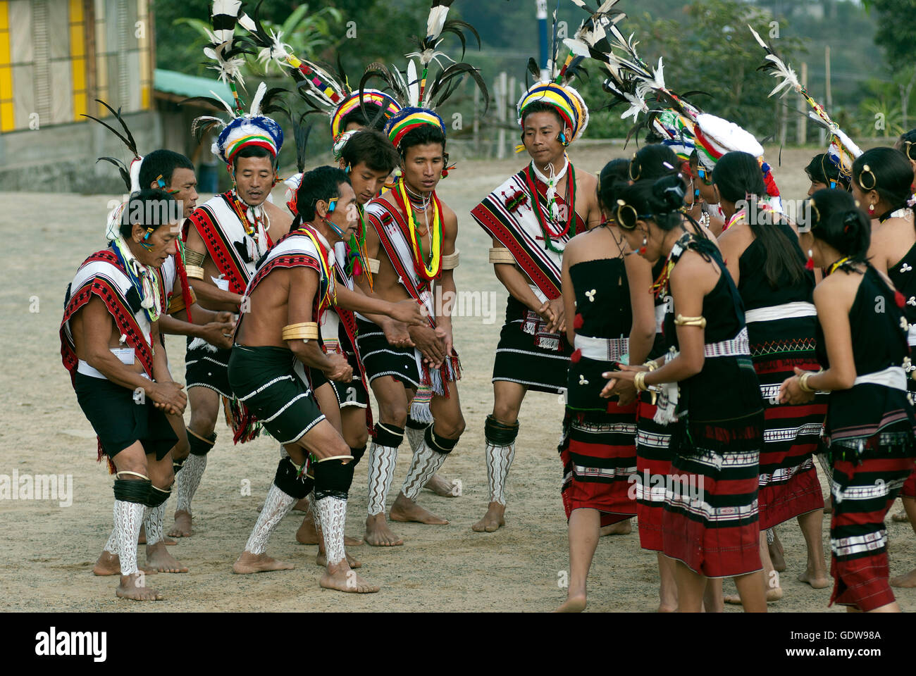 Calao dans la hutte de la tribu naga au festival d'horbill Banque de photographies et d’images à ...
