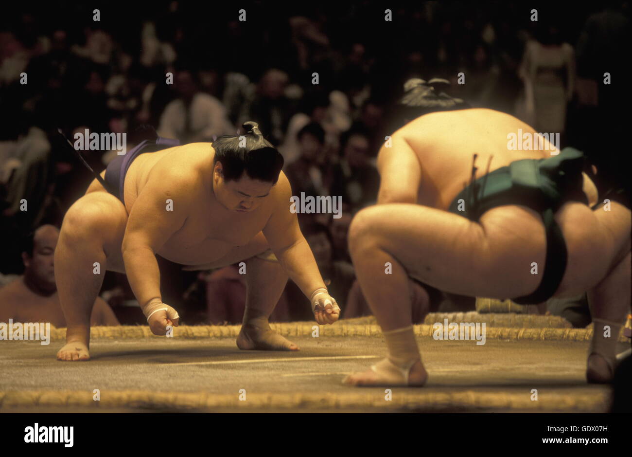 Un combat de sumo dans l'Arène de Sumo dans le centre ville de Tokyo au ...