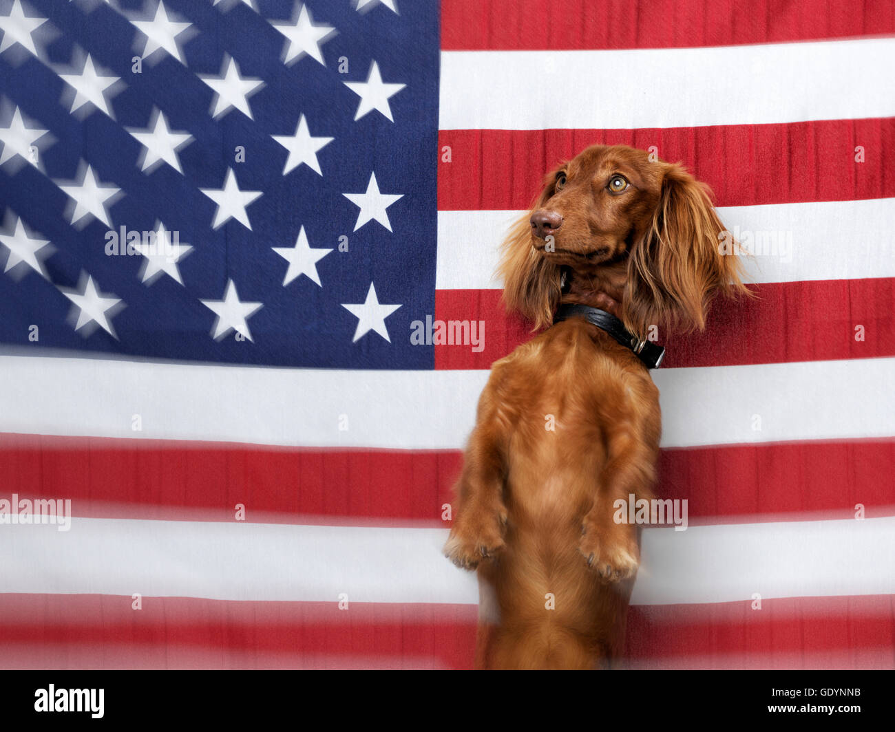 Drapeau long Banque de photographies et d’images à haute résolution - Alamy