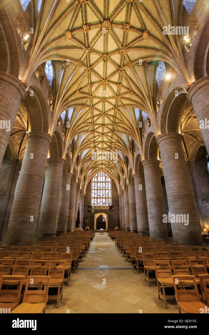 Colonnes gothiques Banque de photographies et d’images à haute ...