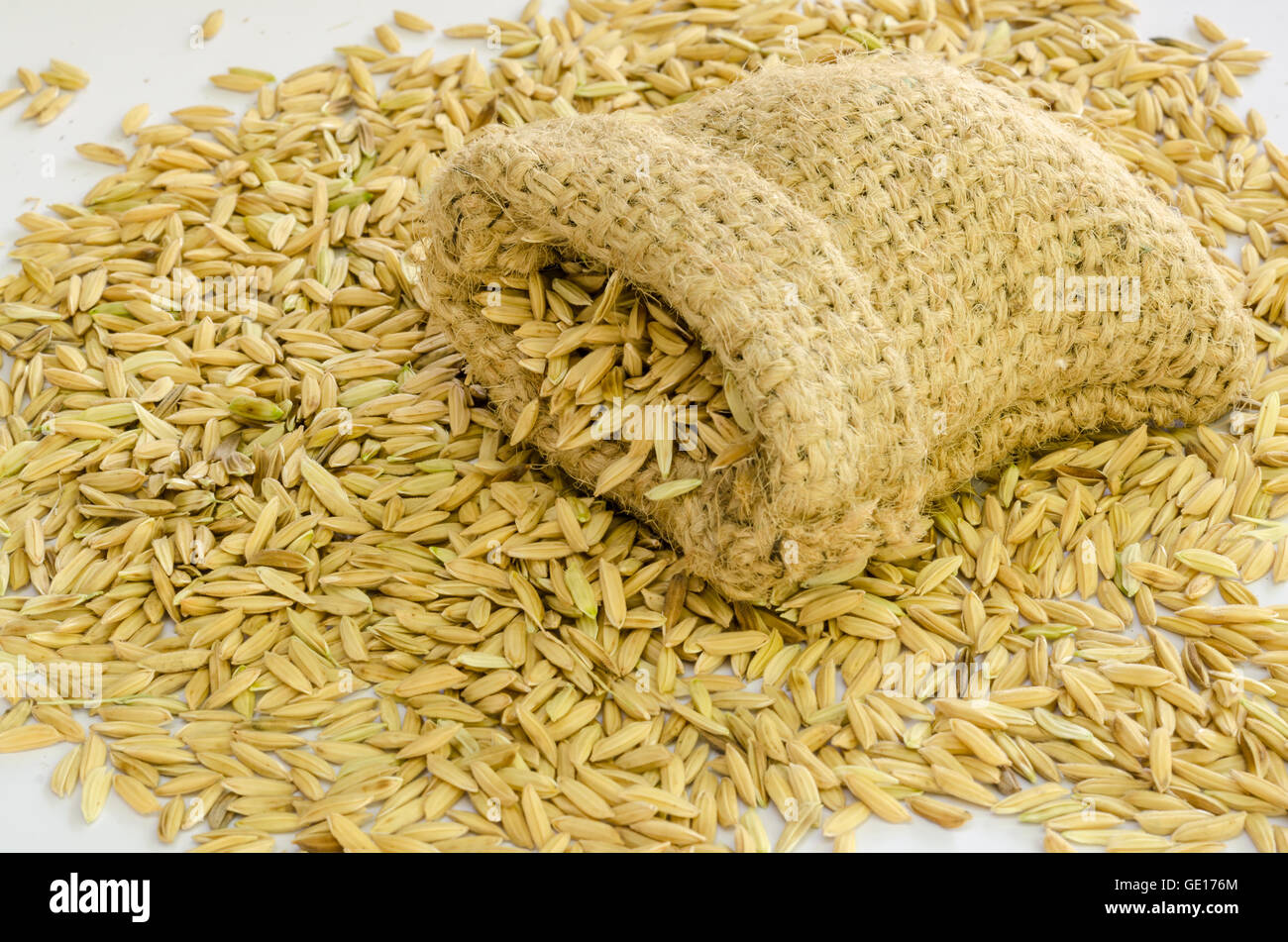 Riz paddy Banque de photographies et d’images à haute résolution - Alamy