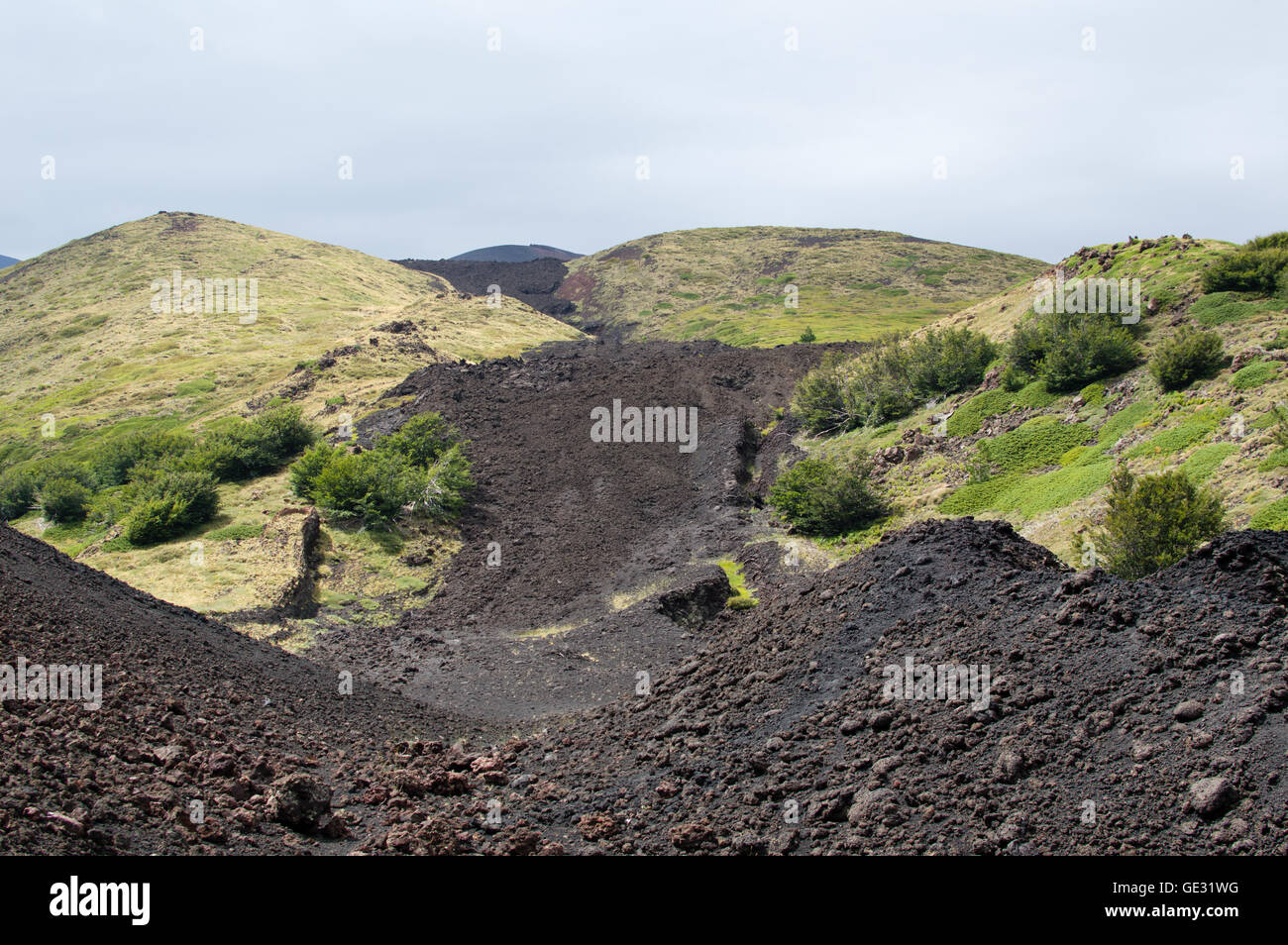 Chemin de lave Banque de photographies et d’images à haute résolution ...