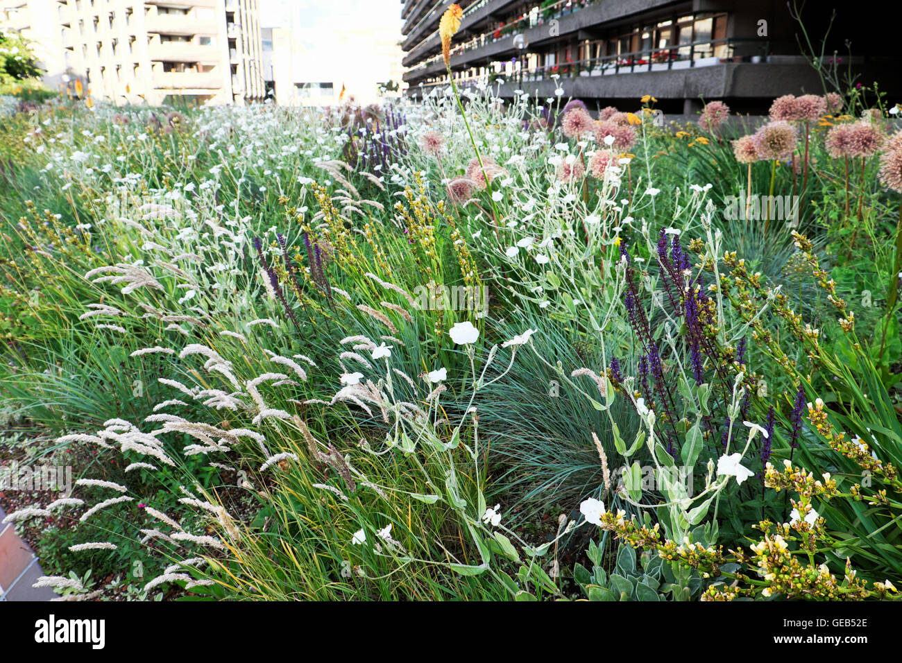 Nigel dunnett garden Banque de photographies et d’images à haute ...