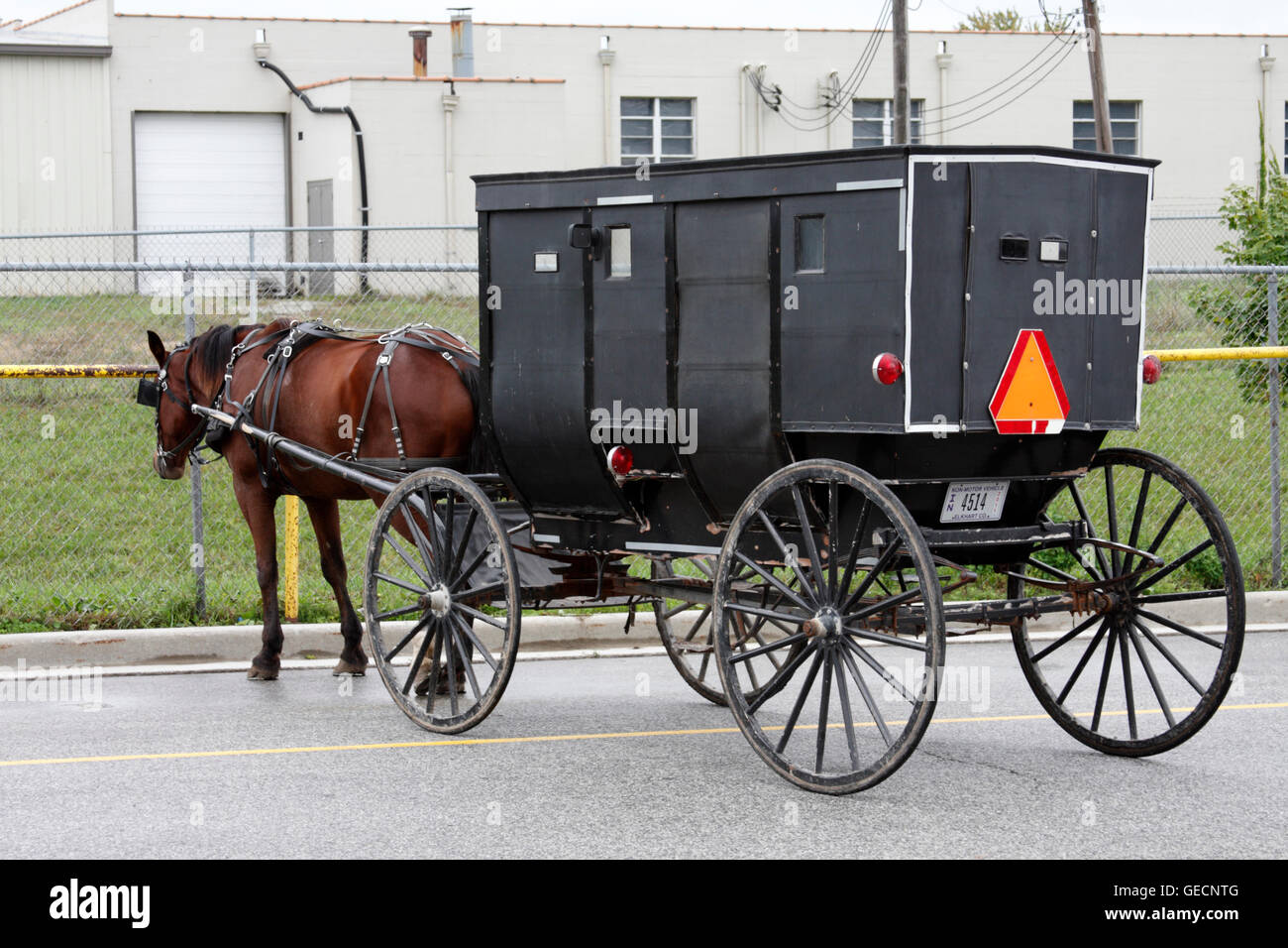 Horse drawn amish buggy Banque de photographies et d’images à haute ...