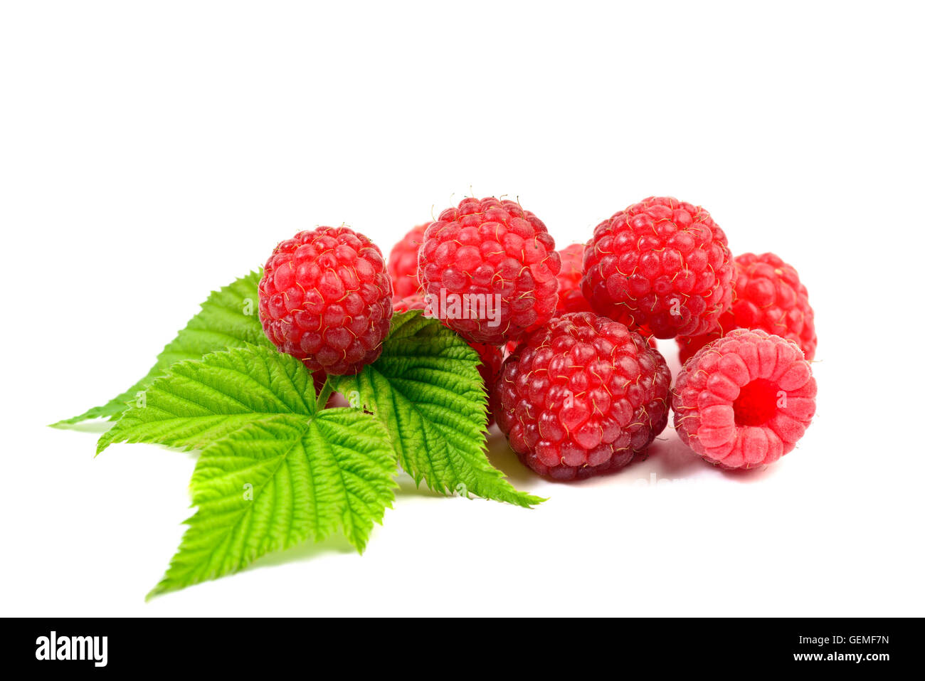 Feuille de framboise rouge Banque de photographies et d’images à haute ...