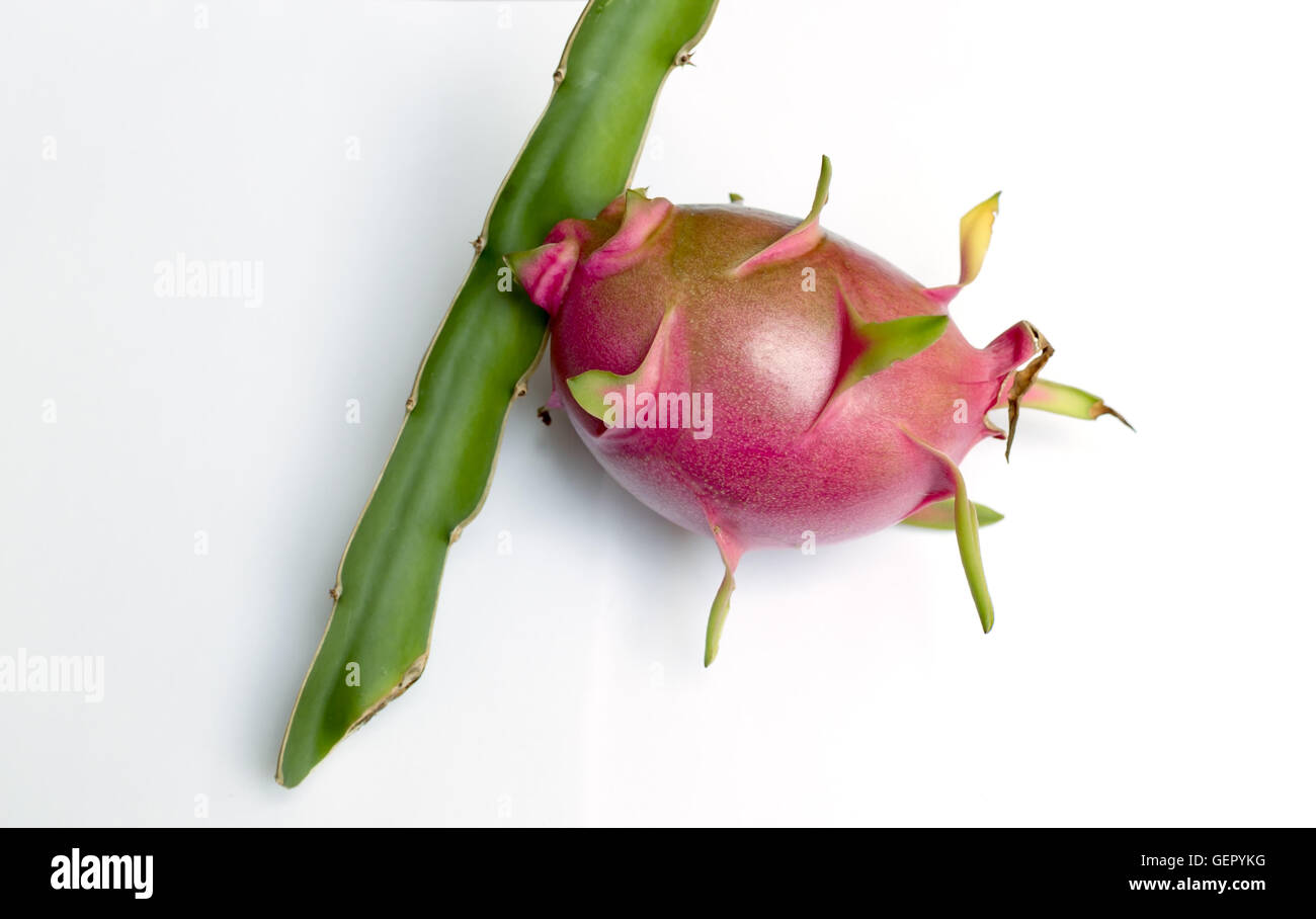 Dragon rouge Banque de photographies et d’images à haute résolution - Alamy