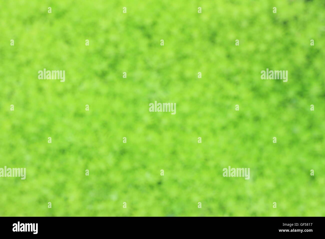 Fond vert Banque de photographies et d’images à haute résolution - Alamy