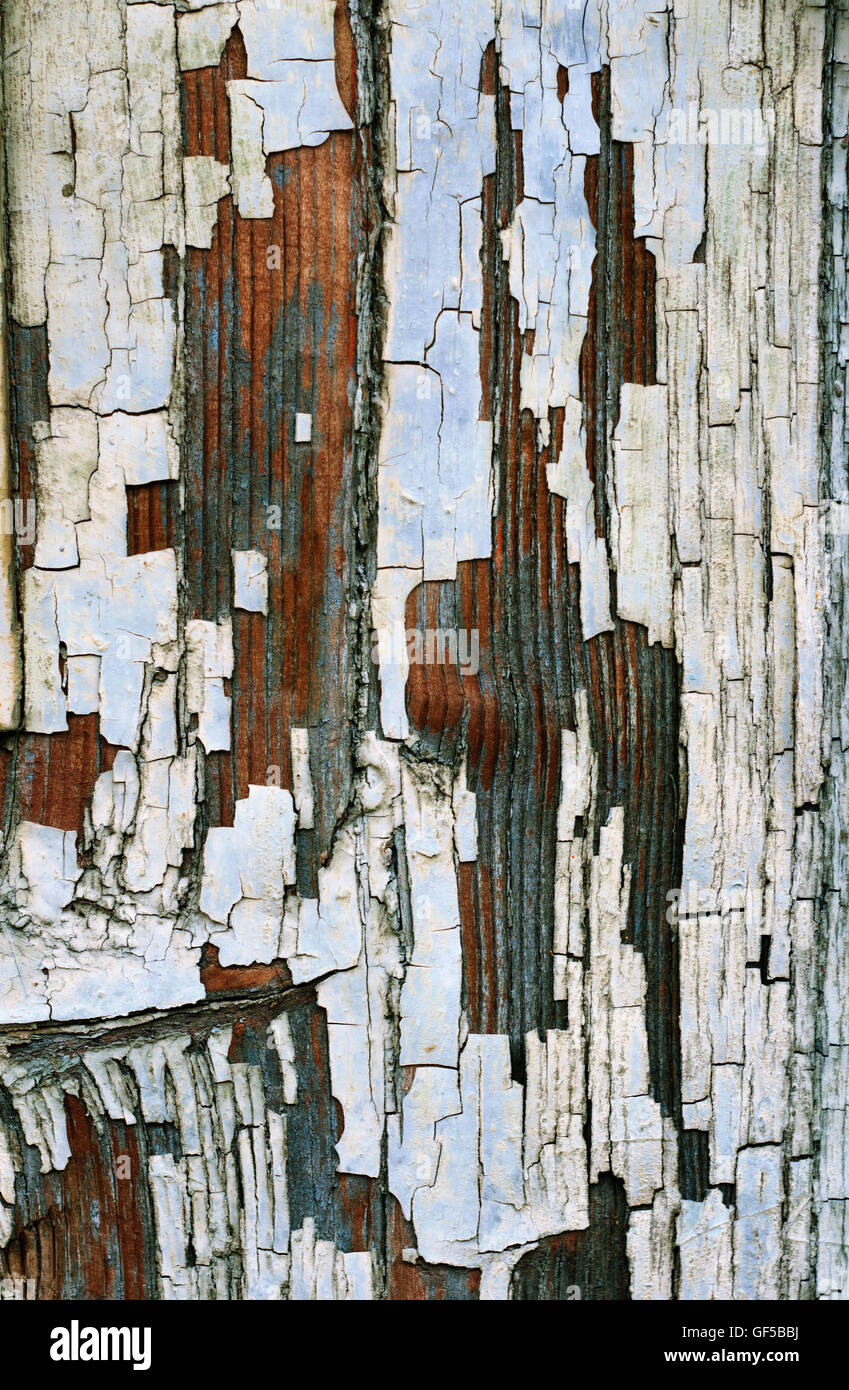 La texture de la planche en bois Photo Stock - Alamy