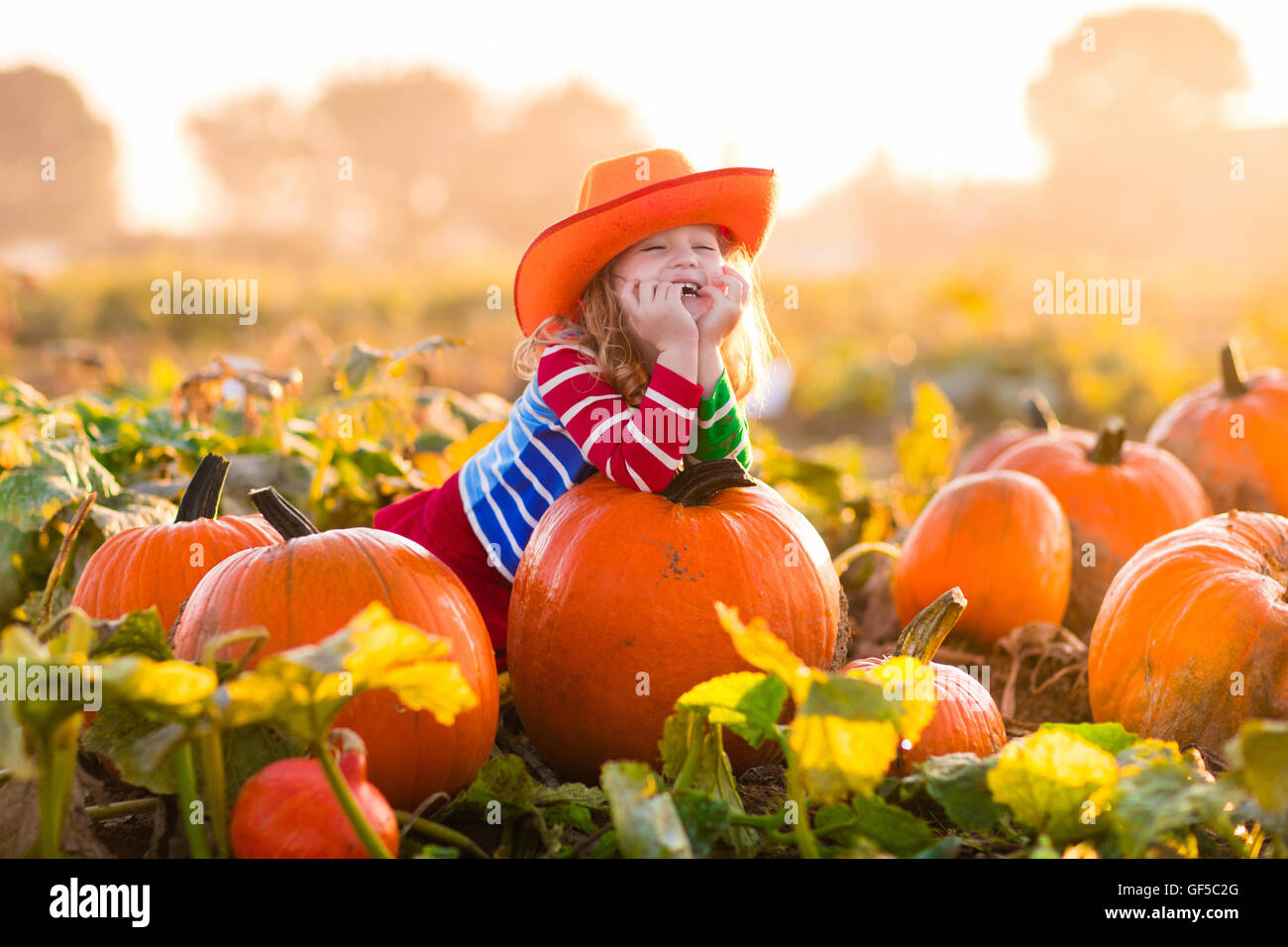 Little girl picking sur citrouilles Halloween Pumpkin Patch. Enfant ...