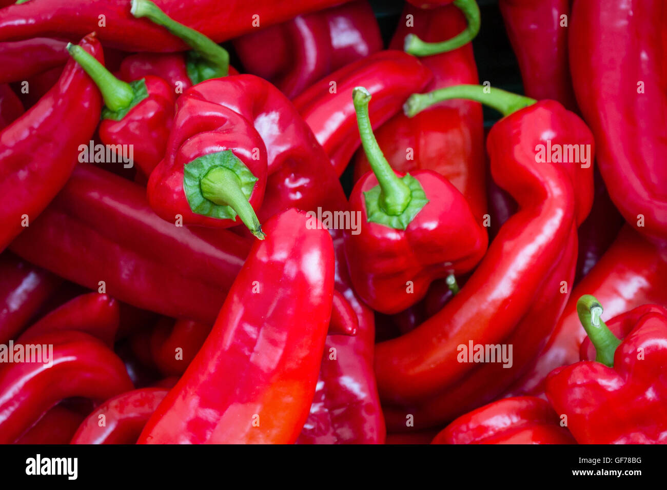 Tas de piments rouges Banque de photographies et d’images à haute ...
