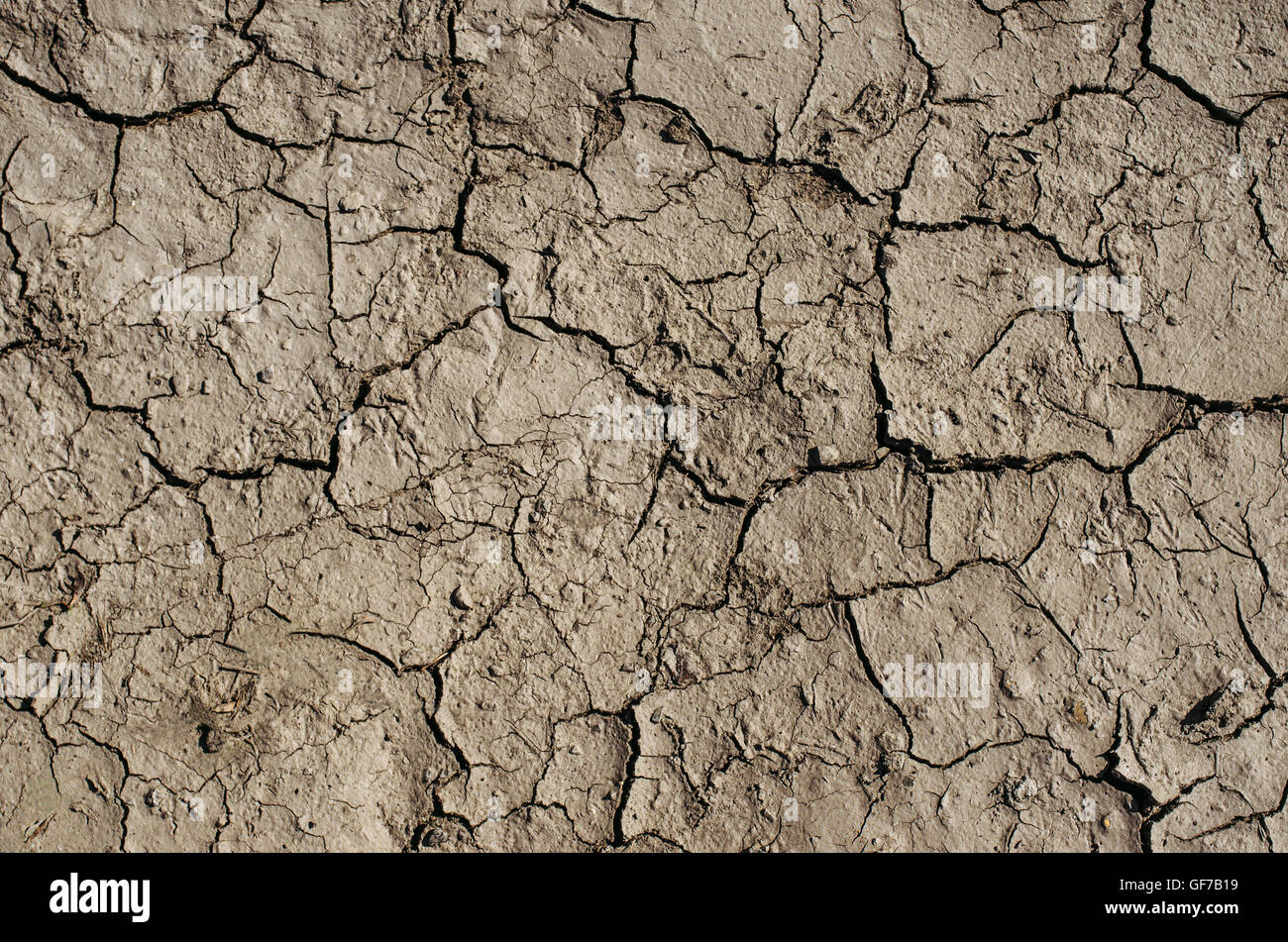 Soil fissures Banque de photographies et d’images à haute résolution ...